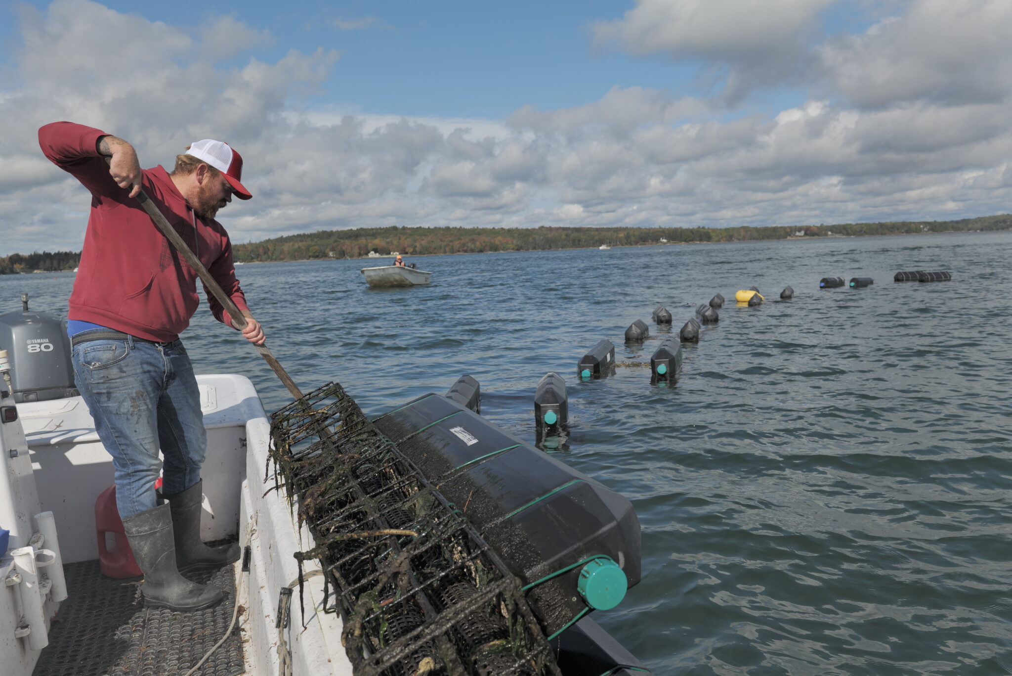 Press release: Maine Aquaculture Association Beginning Farmer and ...
